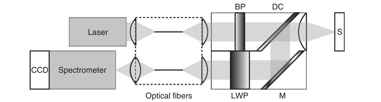 Raman spectroscopy with DSC - Linseis