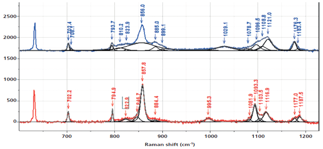 Raman spectroscopy with DSC - Linseis