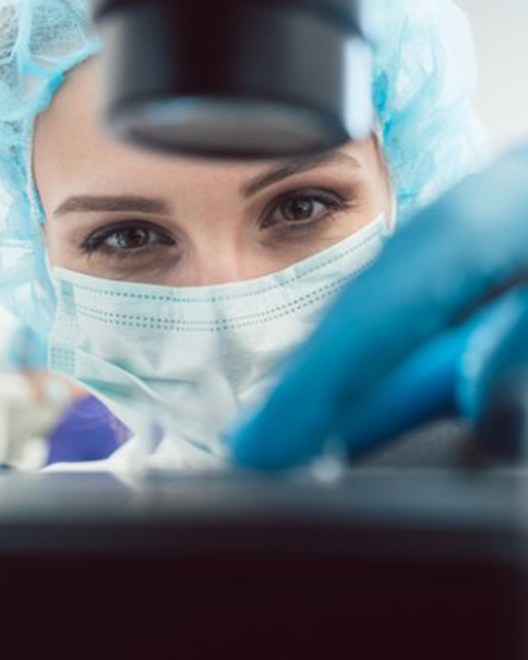 Software for Thermal Analysis Evaluation | LINSEIS